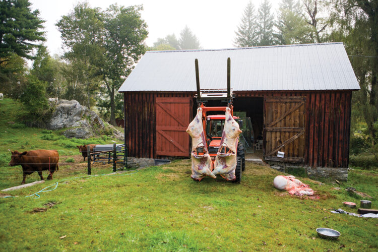 On-Farm Processing – Mother Earth News